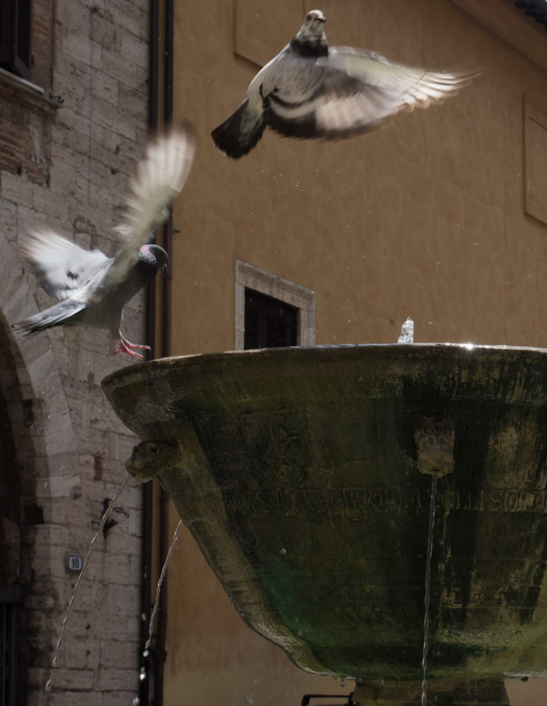 Jeff Curto: Photographs of Italy | Jeff Curto : Photographs - Workshops ...